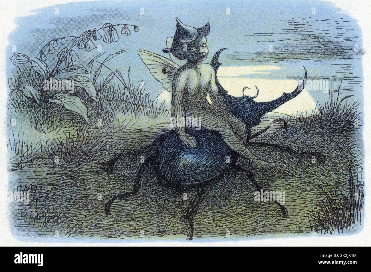 "The Fairy Queen's Messenger": Illustration by R Doyle for a poem by ...
