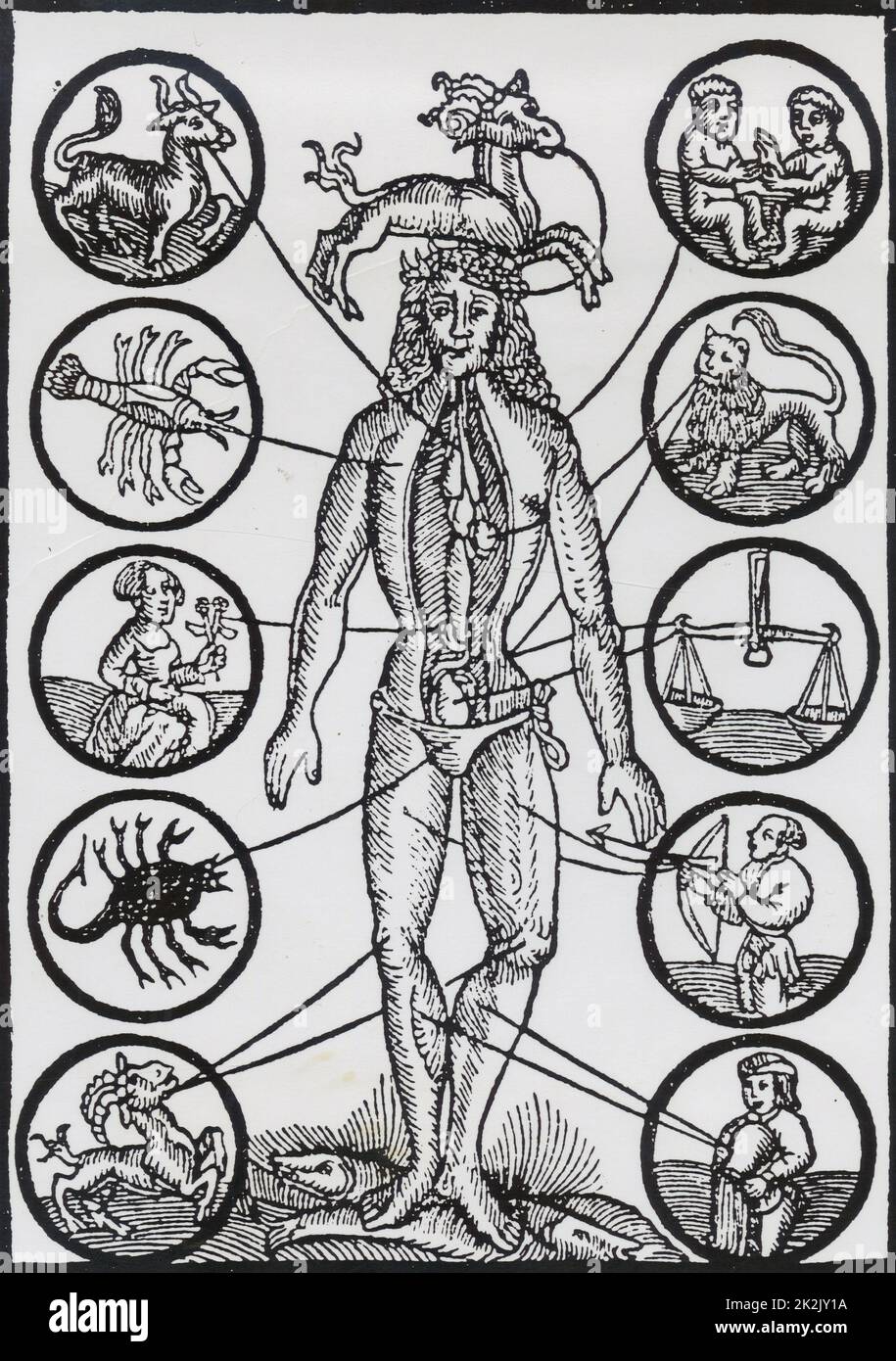 A blood-letting man or Little Leech, showing points of blood-letting ...
