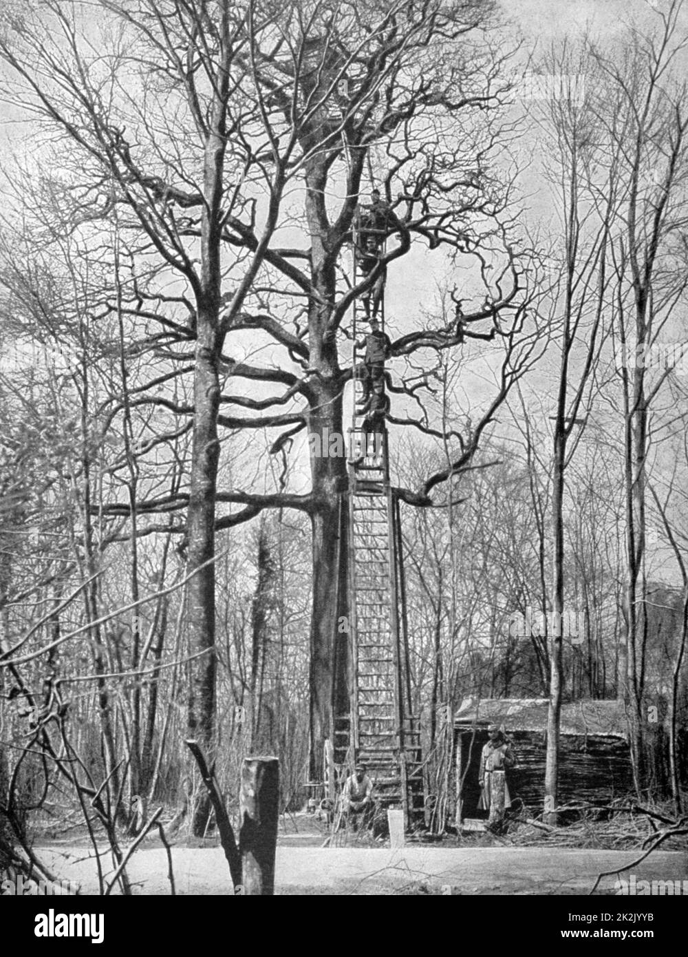 World War I 1914-1918: French artillery observation post in the top of ...