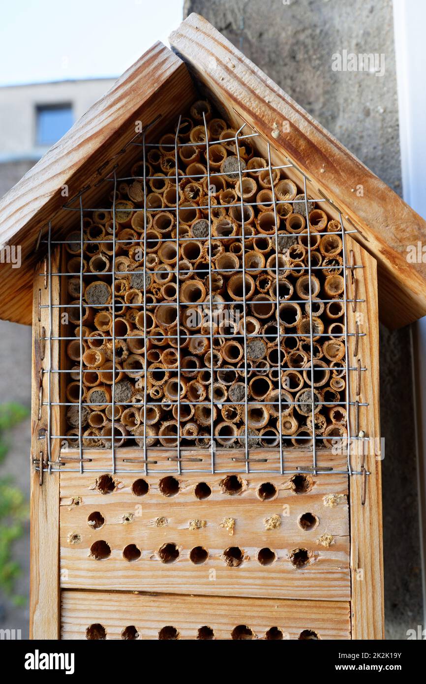 Bee hotel on the balcony of a city flat with many filled nest tubes ...