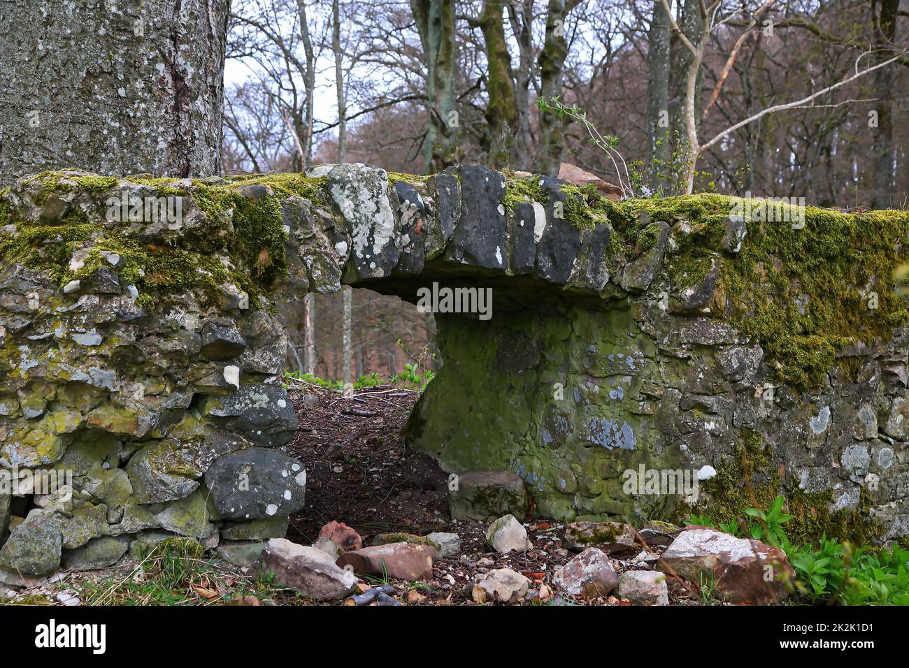 The Wildenberg castle ruins are a sight in the Sulzfeld municipality ...