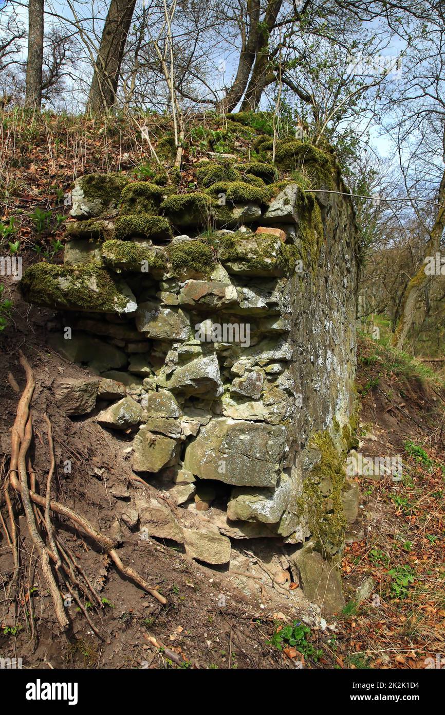The Wildenberg castle ruins are a sight in the Sulzfeld municipality ...