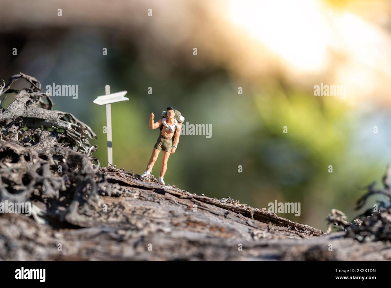 Sign hiking in forest hi-res stock photography and images - Alamy