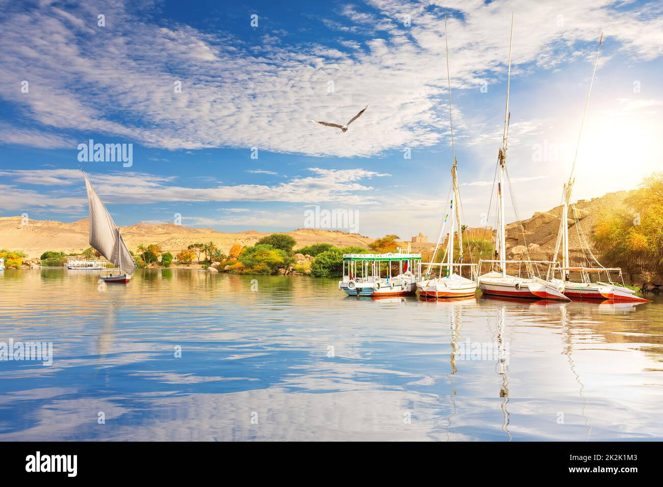 Sailboats in the Nile at sunny day, Asuan, Egypt Stock Photo - Alamy