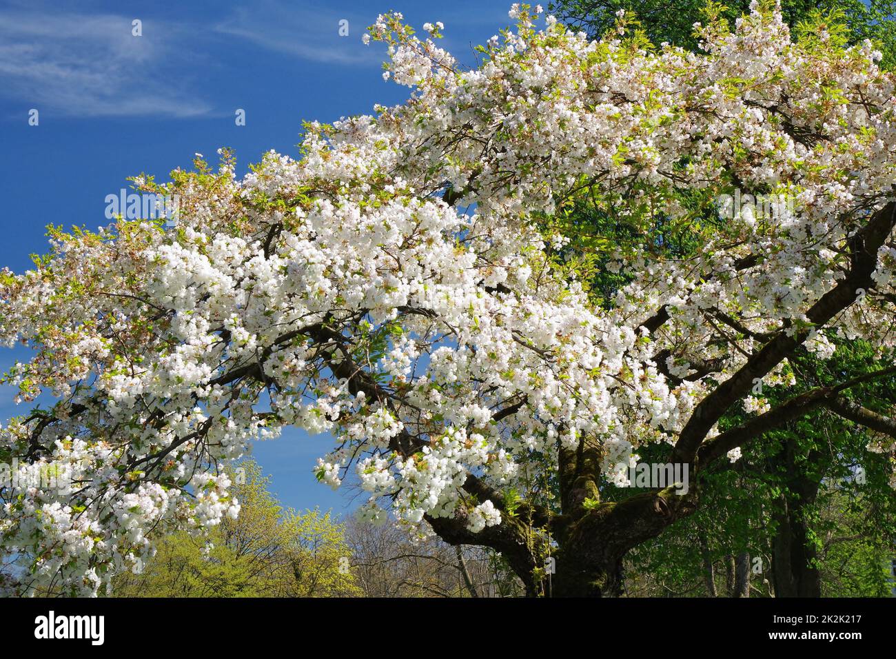West europe hi-res stock photography and images - Alamy