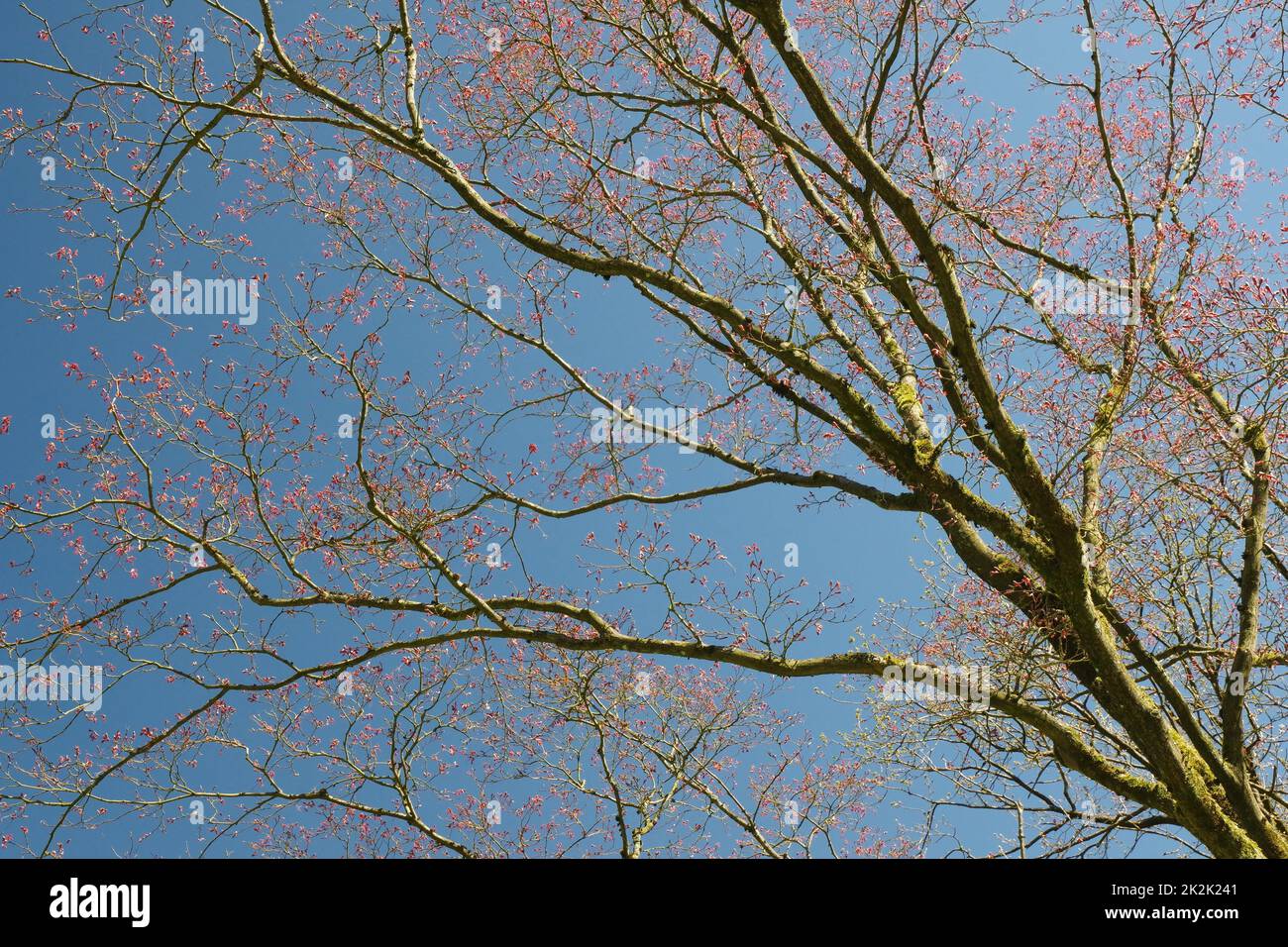 West europe hi-res stock photography and images - Alamy