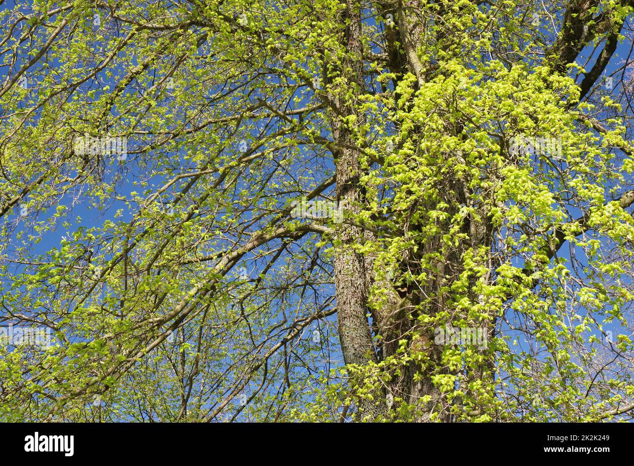 West europe hi-res stock photography and images - Alamy