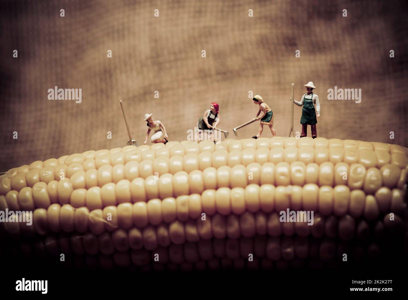 Male female farmers harvesting hi-res stock photography and images - Alamy