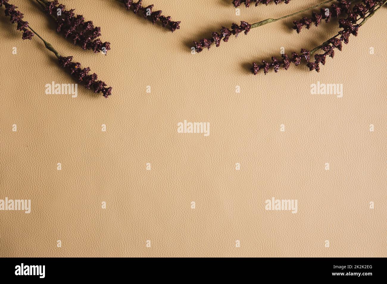 Natural beige background with a dry flower. Top view, Copy space for ...