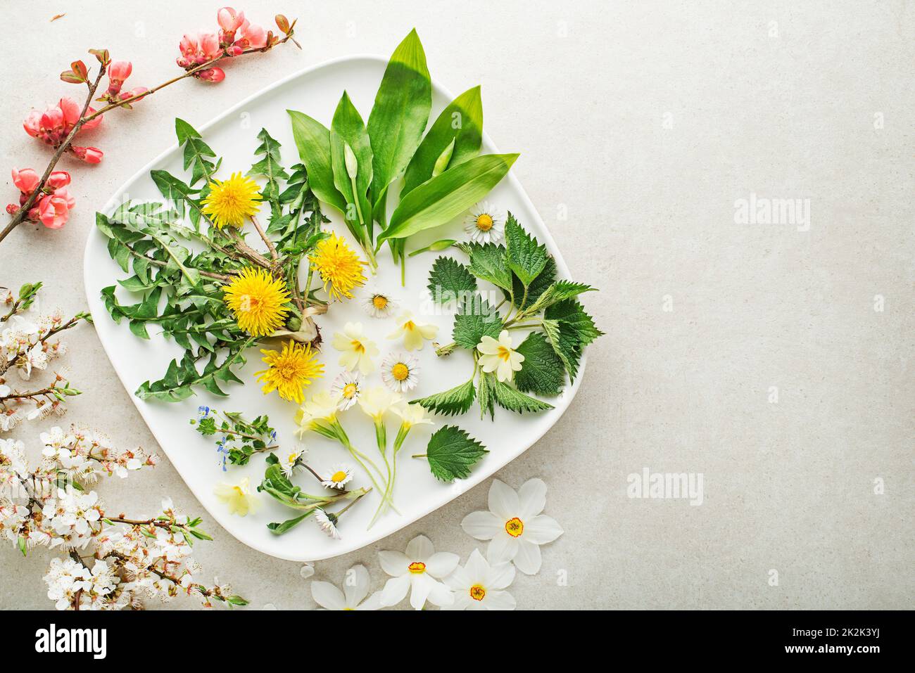 Spring plants hi-res stock photography and images - Alamy