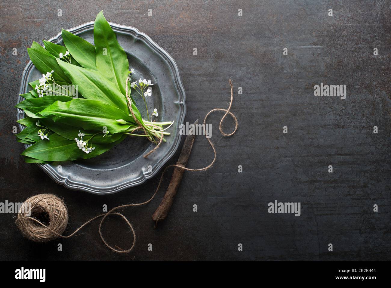 Wild garlic ramson Stock Photo - Alamy