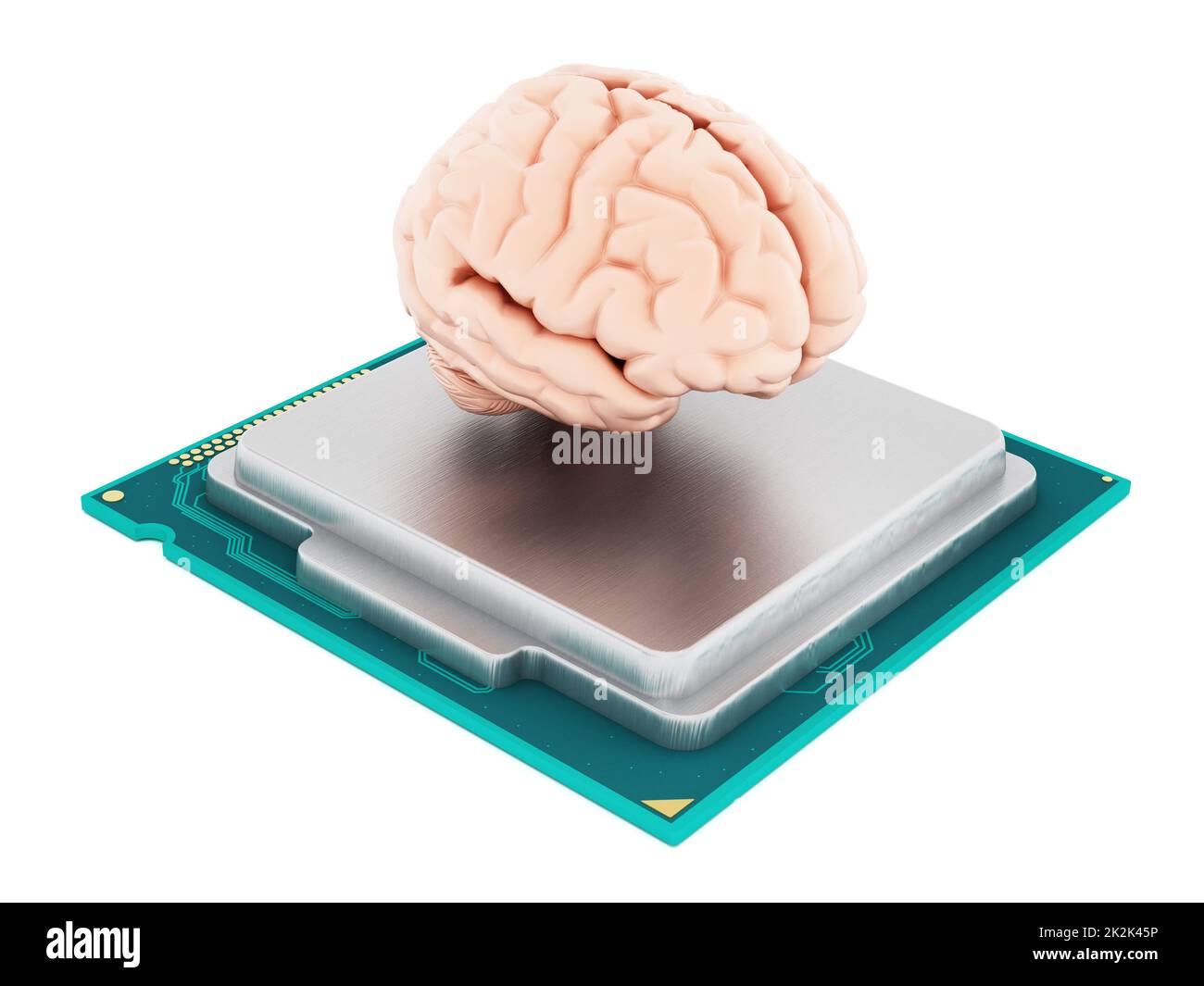 Microprocessor and human brain. 3D illustration Stock Photo - Alamy