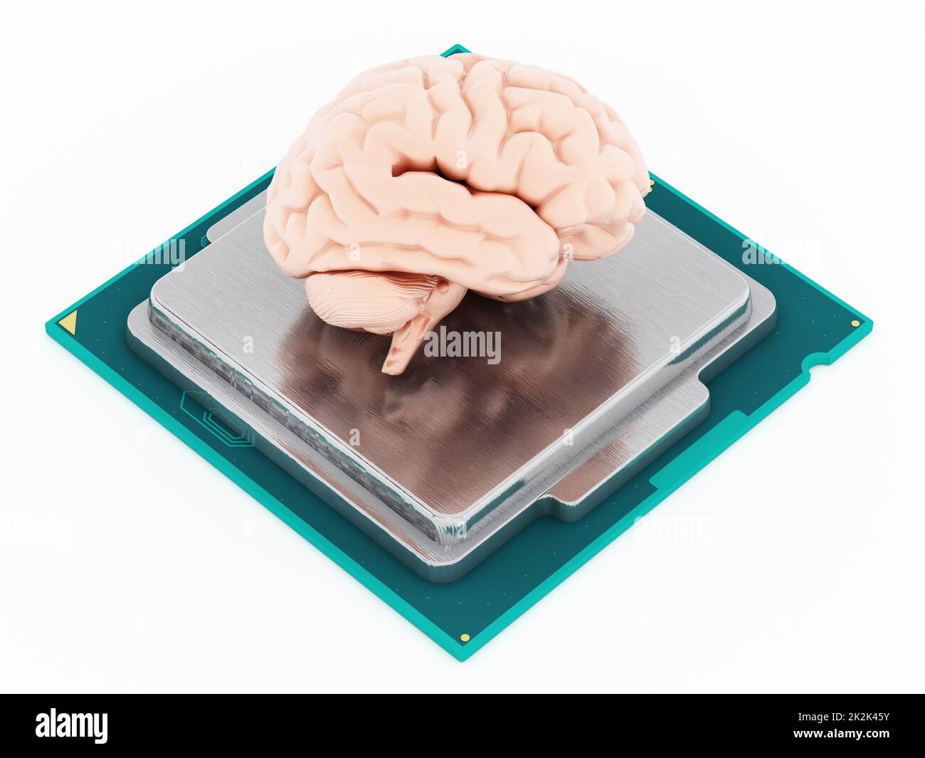 Microprocessor and human brain. 3D illustration Stock Photo - Alamy