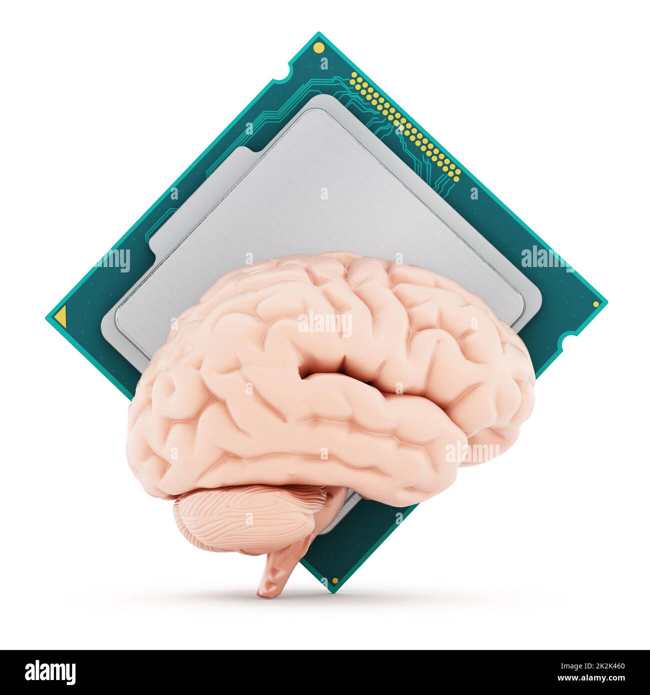 Microprocessor and human brain. 3D illustration Stock Photo - Alamy