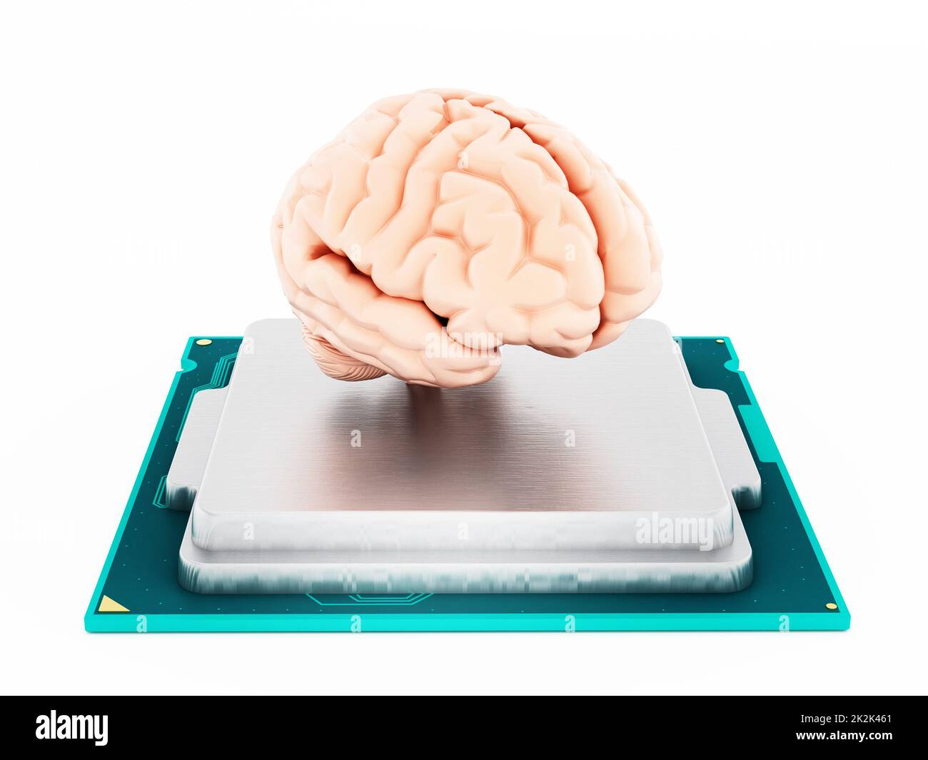 Microprocessor and human brain. 3D illustration Stock Photo - Alamy