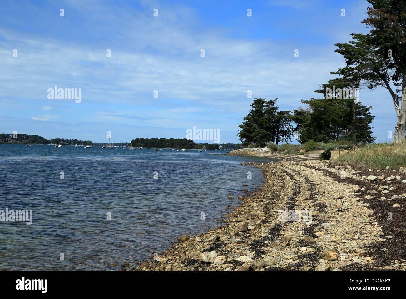 Trees above shoreline and low tide on beach close to Le Mounien, Ile d ...