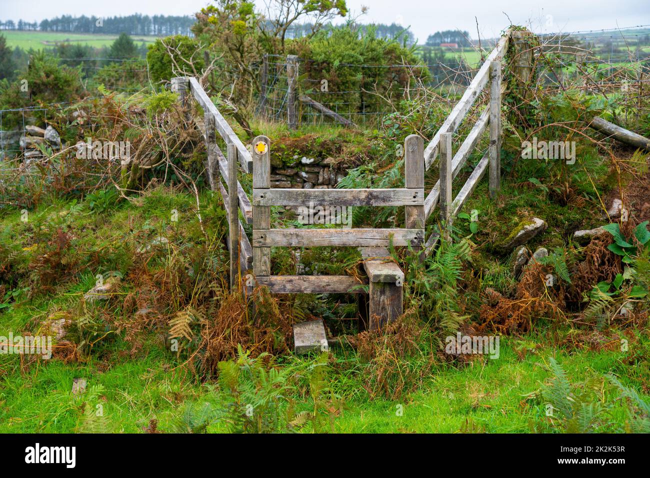 Wooden stile near St Breward in Cornwall, UK. Stiles allows persons a ...