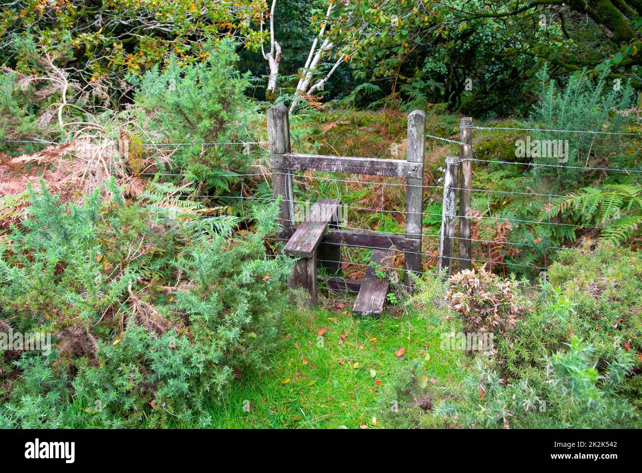 Wooden stile near St Breward in Cornwall, UK. Stiles allows persons a ...