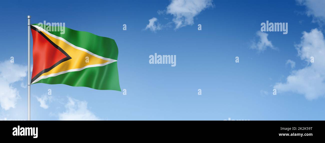 Guyana guyanese flag hi-res stock photography and images - Alamy