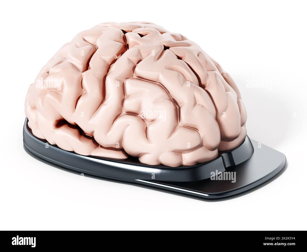 Human brain on security cap. 3D illustration Stock Photo - Alamy