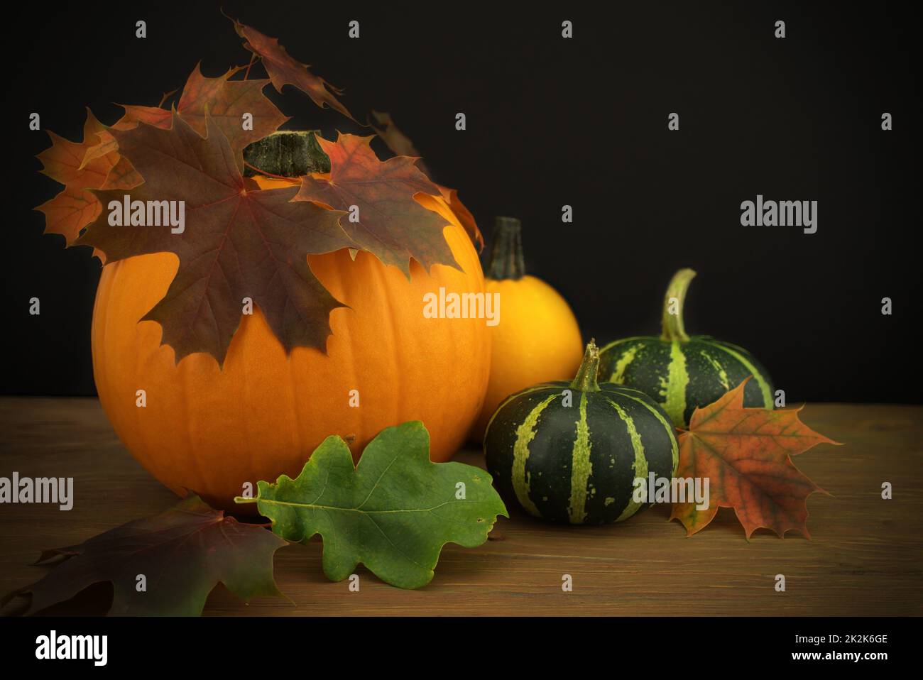 Colorful fall squash leaf hi-res stock photography and images - Alamy