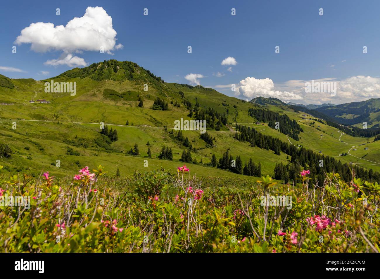 Typical alpine landscape in early summer near Damuls, Vorarlberg ...