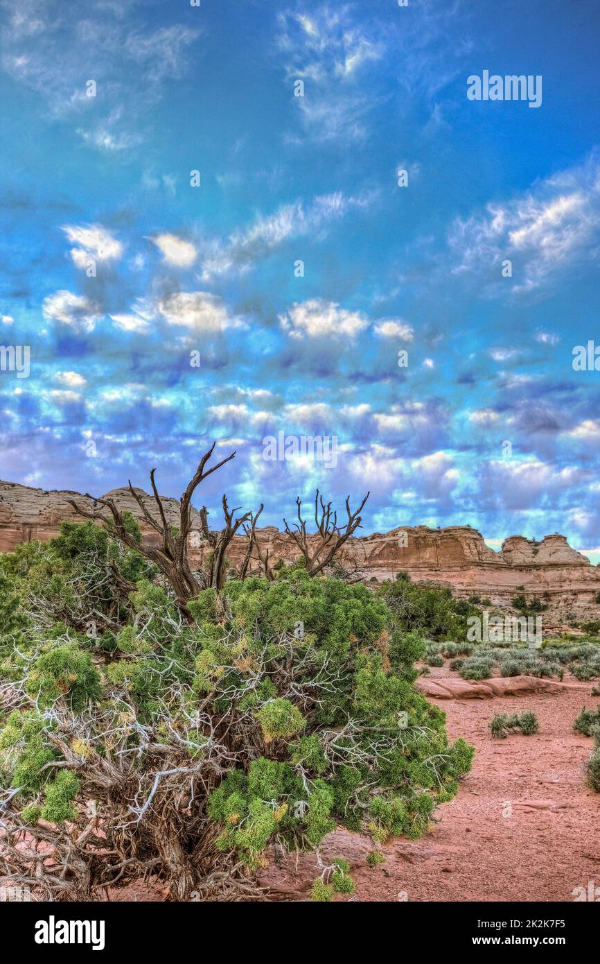 High dynamic range processing hi-res stock photography and images - Alamy