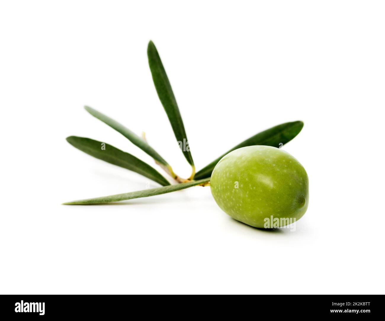 Olive green background studio Cut Out Stock Images & Pictures - Alamy