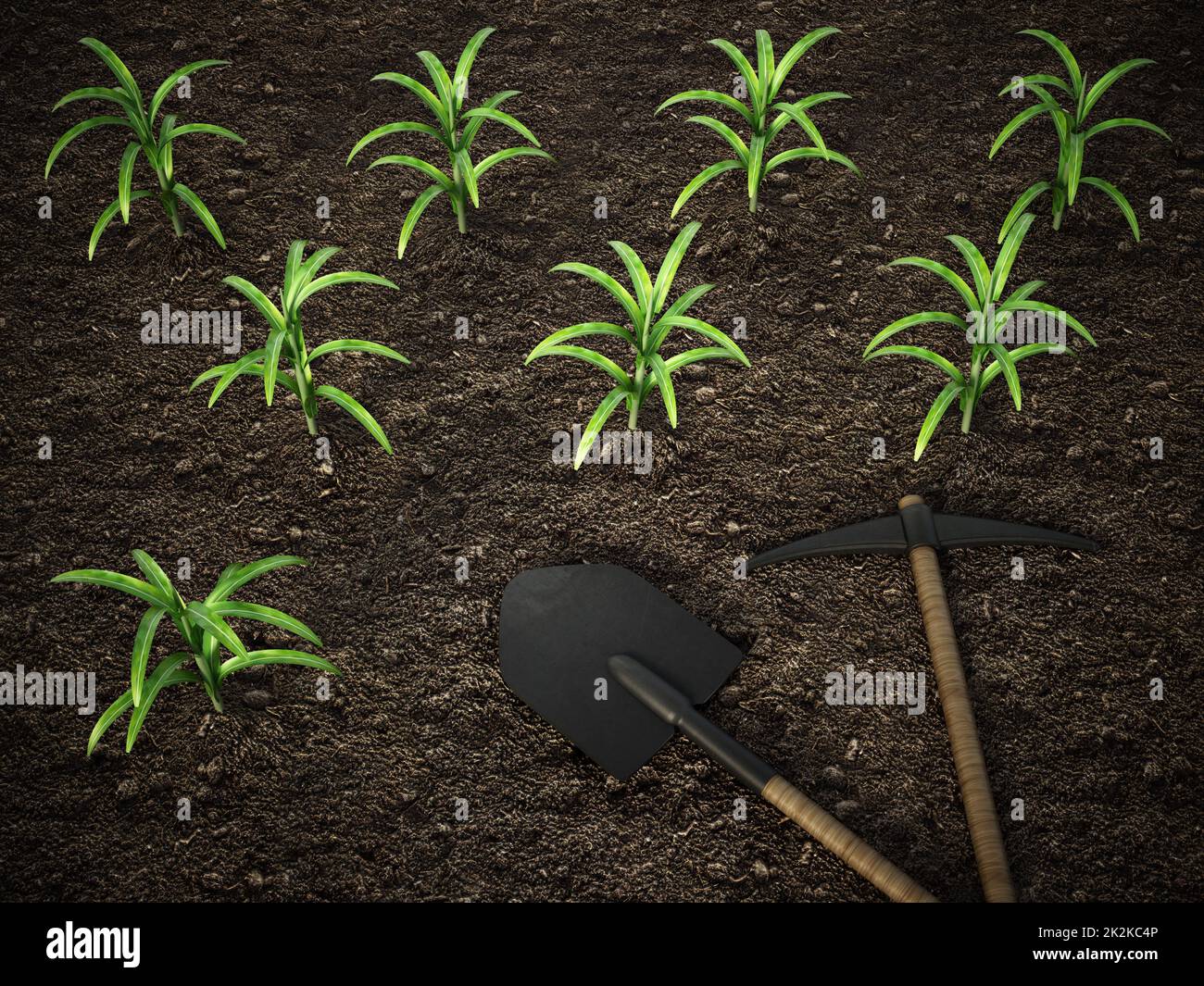 Shovel and pick axe standing on the corn field. 3D illustration Stock ...