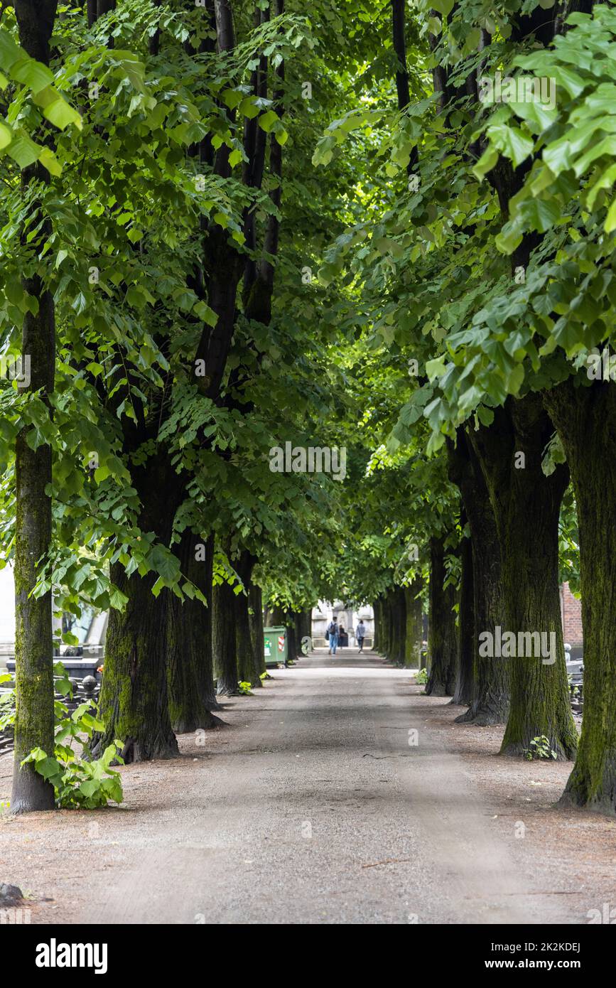 Monumental Cemetery of Milan (Cimitero Monumentale di Milano) is one of ...