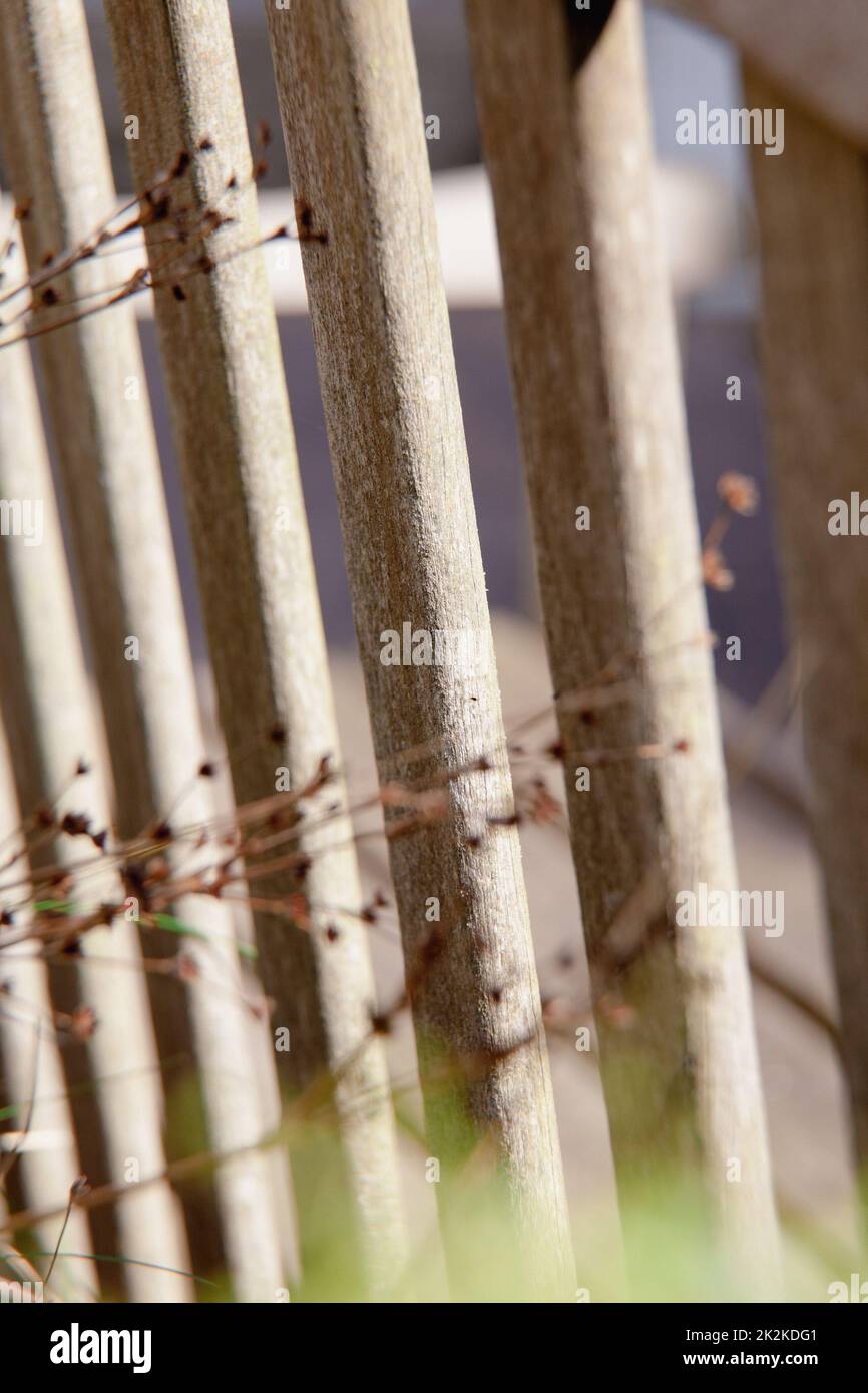 Relaxed garden hi-res stock photography and images - Alamy