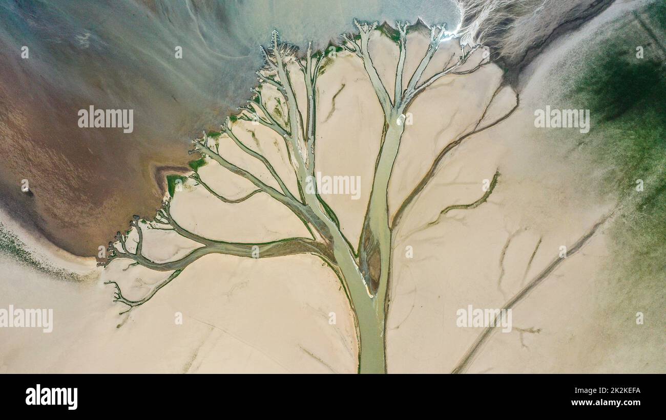 NANCHANG, CHINA - SEPTEMBER 23, 2022 - An aerial photo shows a "tree ...