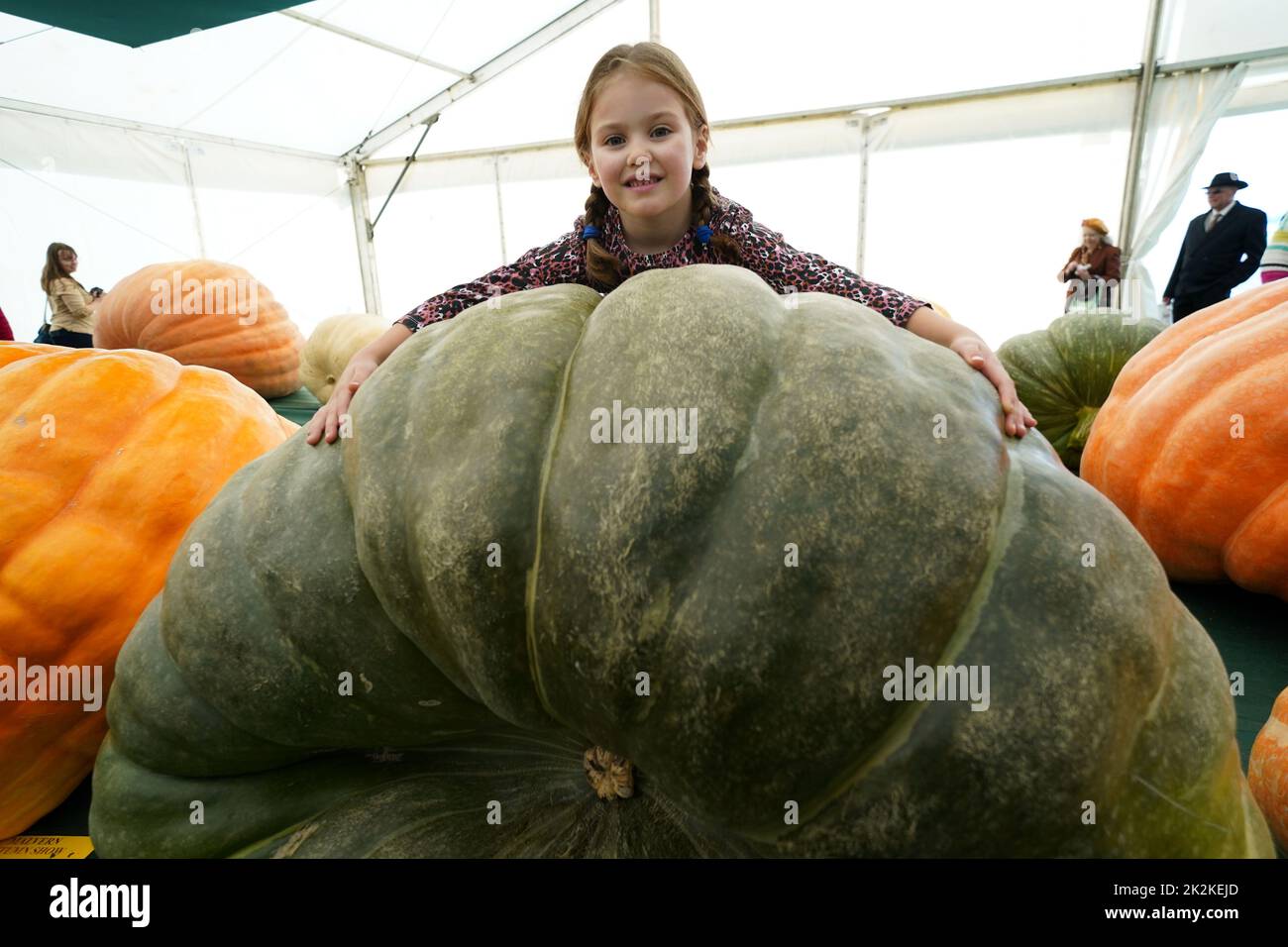 Clara, 6, poses with the winning squash entry during the Canna UK Giant ...