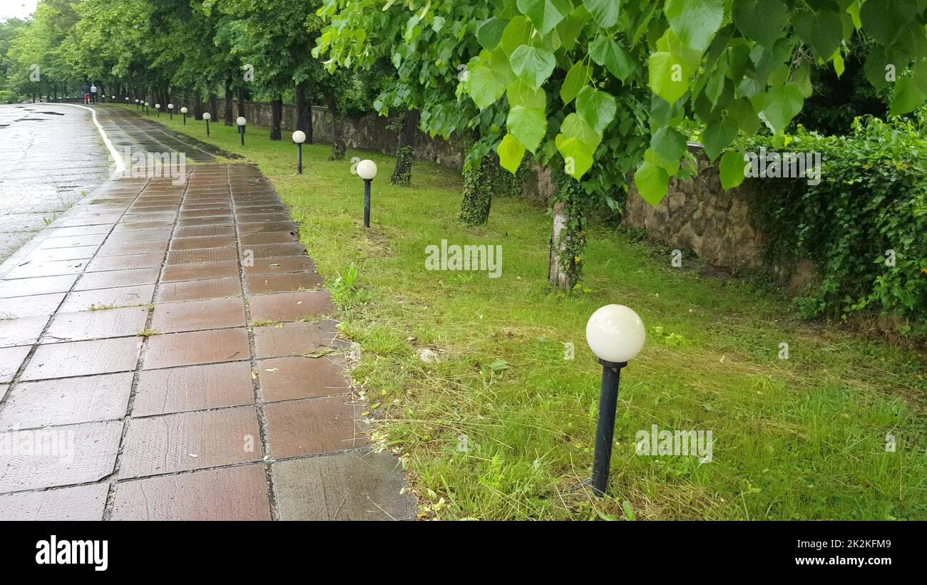 sidewalk with concrete slabs wet from the rain, lanterns and trees ...