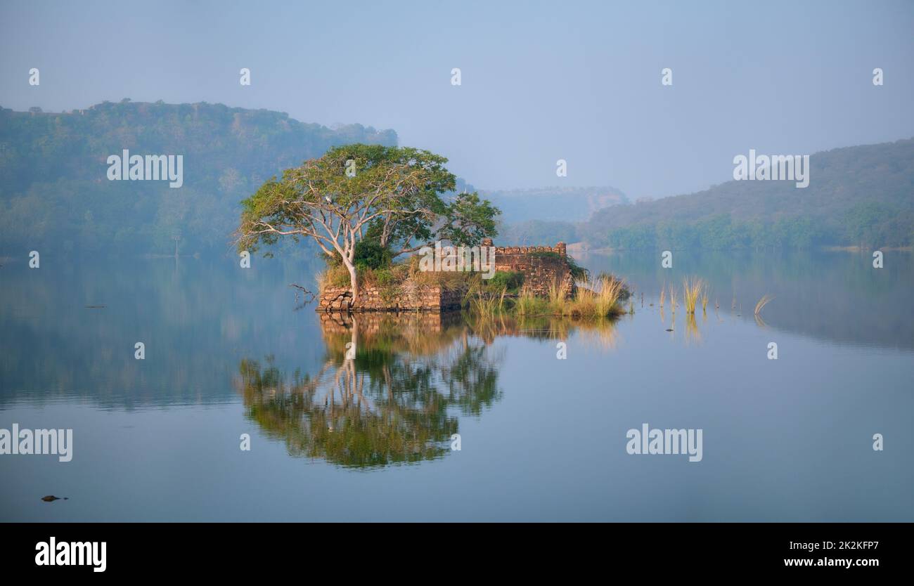 Serene morning on lake Padma Talao. Ranthambore National Park ...
