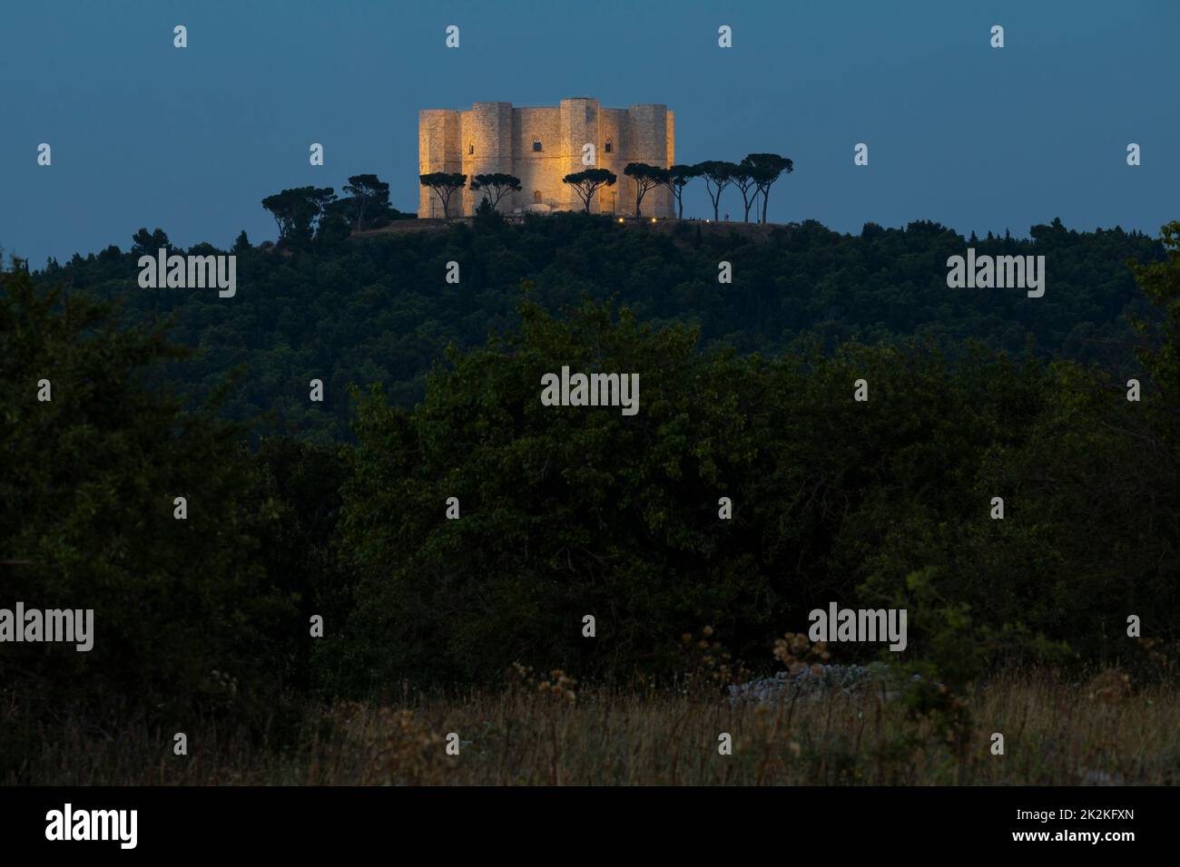 Castel del Monte, castle built in an octagonal shape by the Holy Roman ...