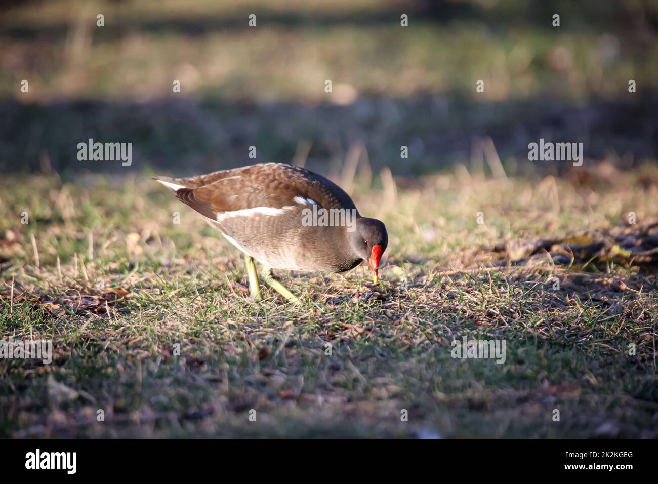 Blackness on sea hi-res stock photography and images - Alamy