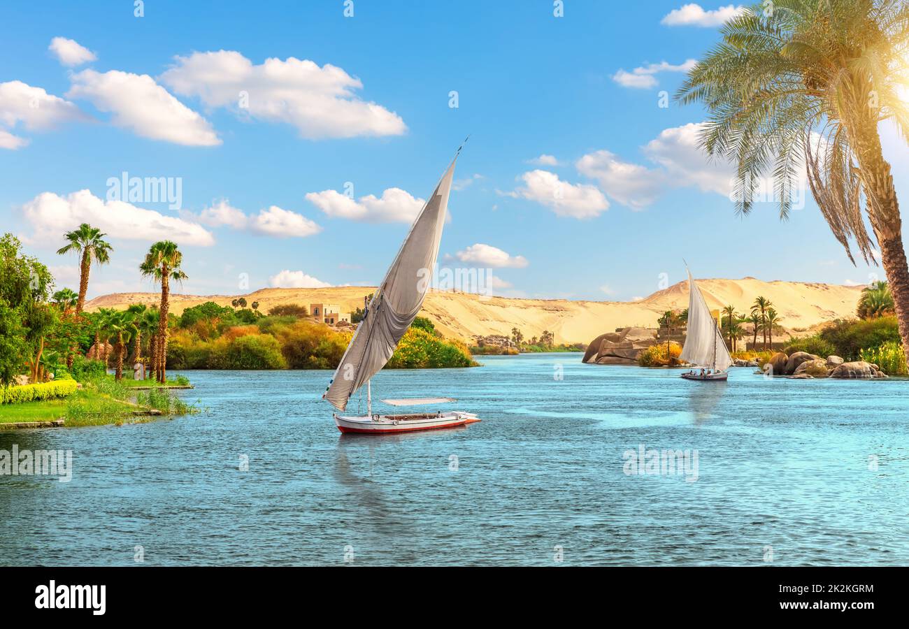Traditional view of Aswan, the sailboats in the Nile behind the palm ...