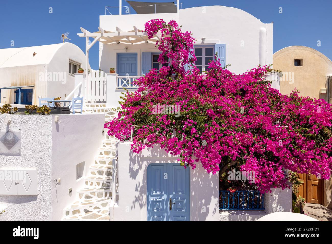 Red bougainvillea climbing on the wall of whitewashed house in Oia on ...