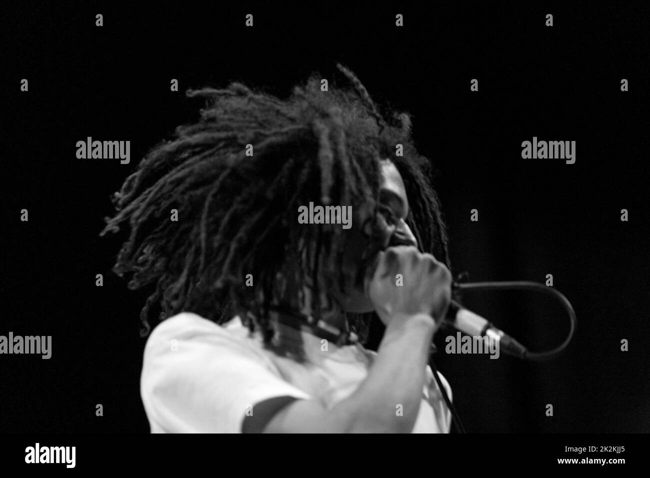 Rasta hair singer performing live on stage Stock Photo - Alamy