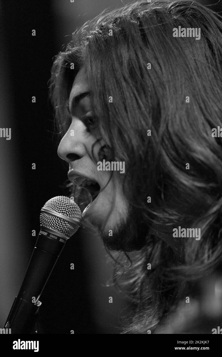 Rasta hair singer performing live on stage Stock Photo - Alamy