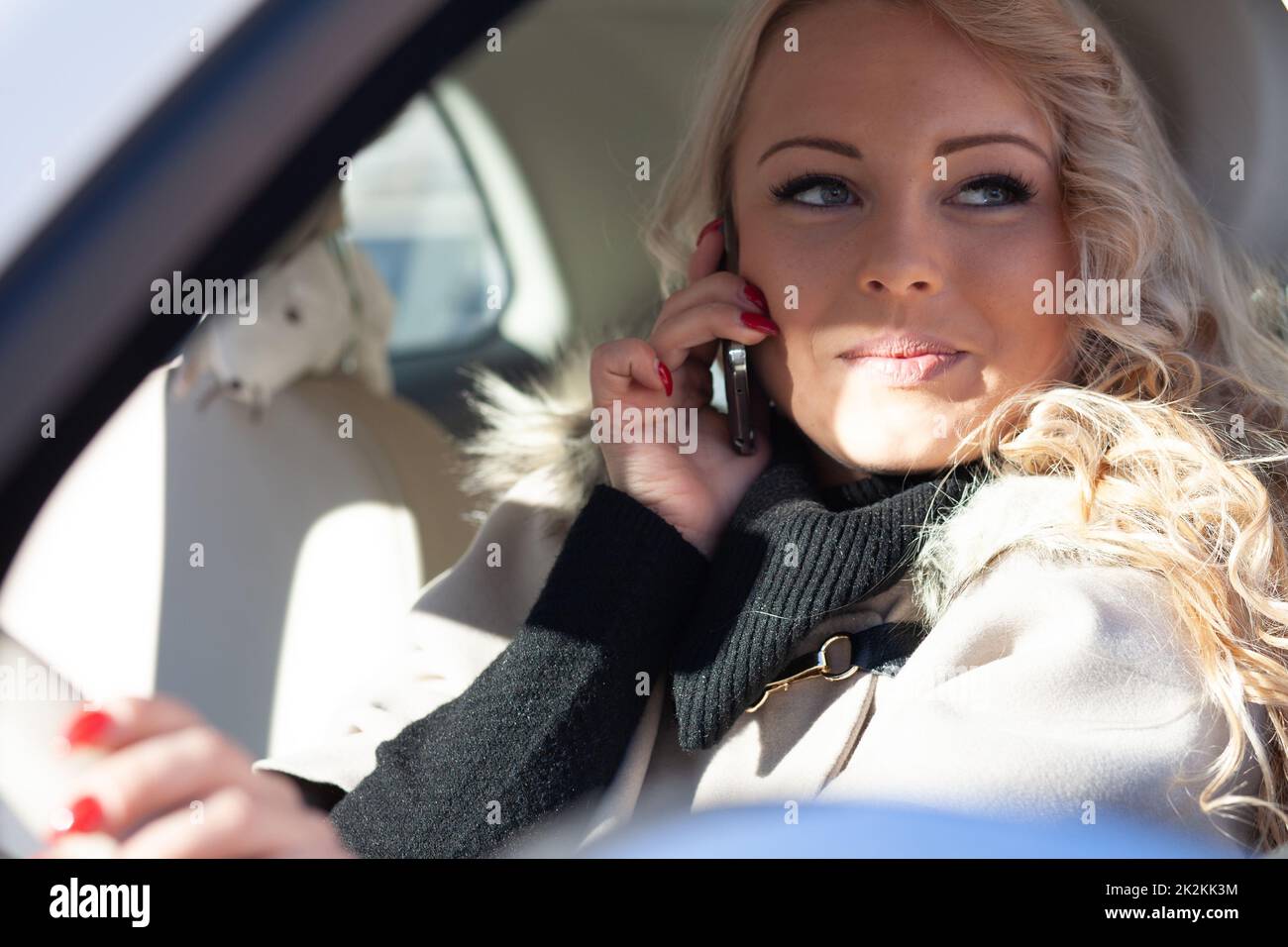 Young woman driver talking on her cellphone Stock Photo - Alamy