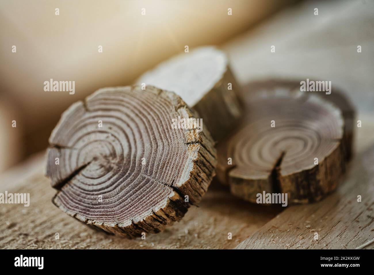 Cross section slices of old dried wooden branches Stock Photo - Alamy