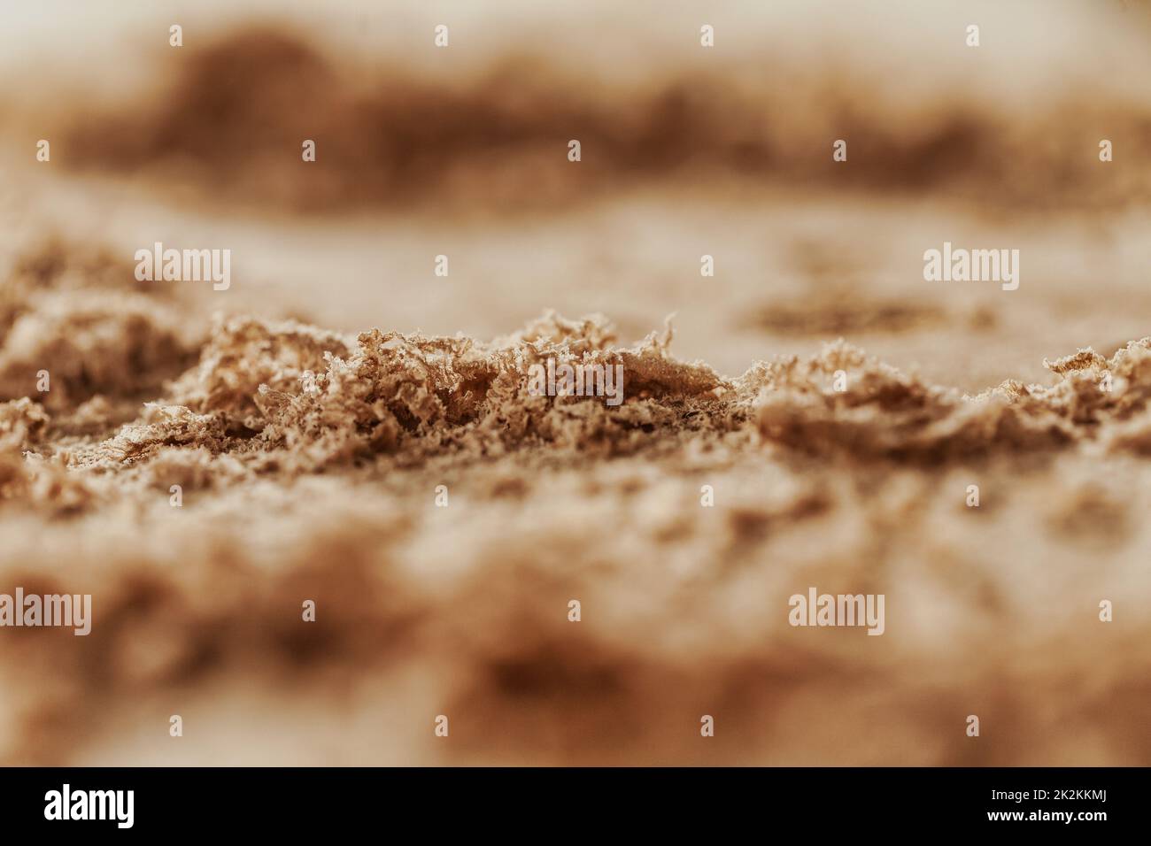 Selective focus view hi-res stock photography and images - Alamy