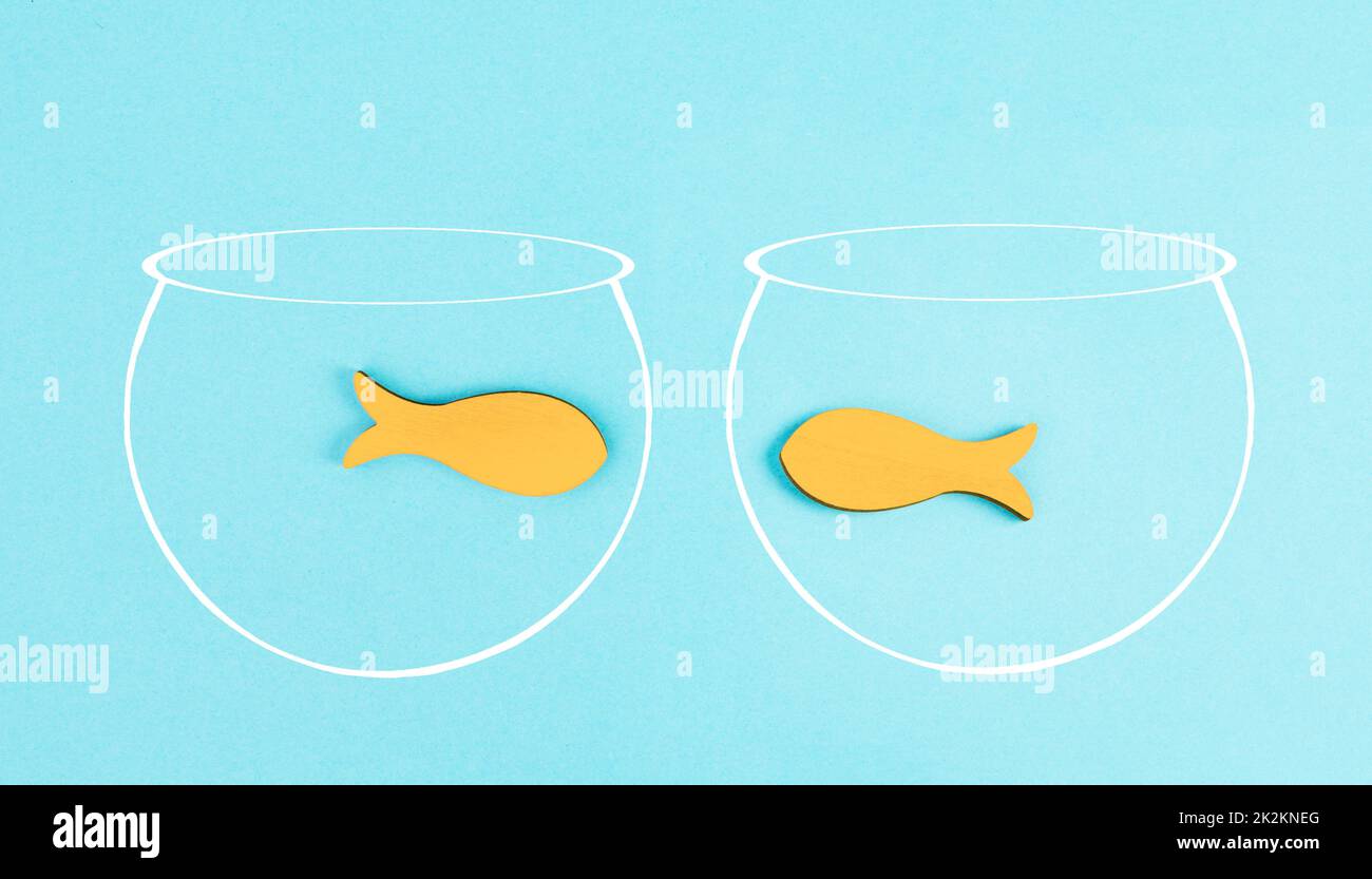 Two little fish in separated aquariums looking at each other, freedom ...