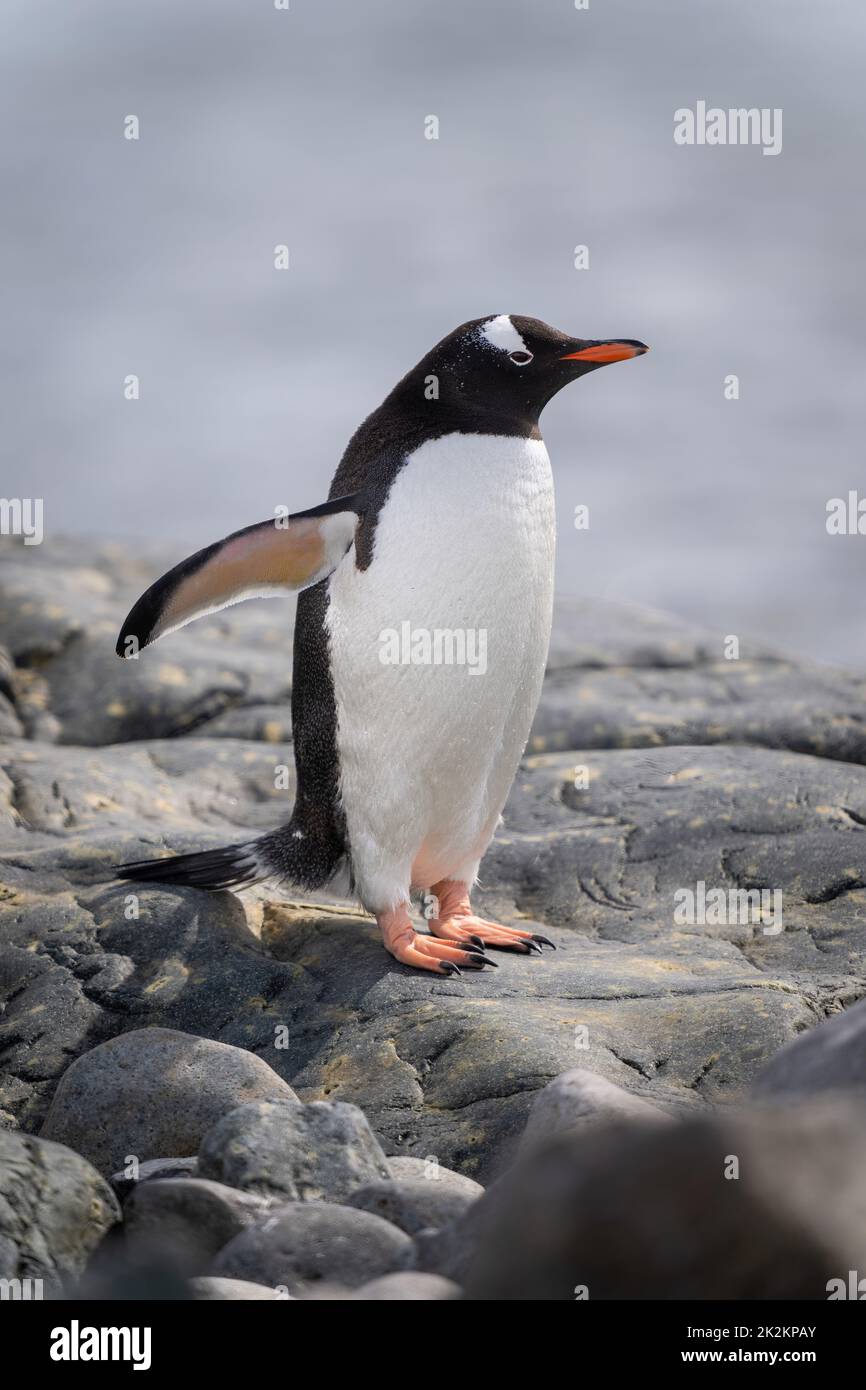 Stands waves hi-res stock photography and images - Alamy