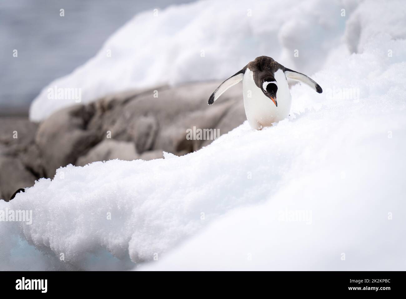 Bending head hi-res stock photography and images - Alamy