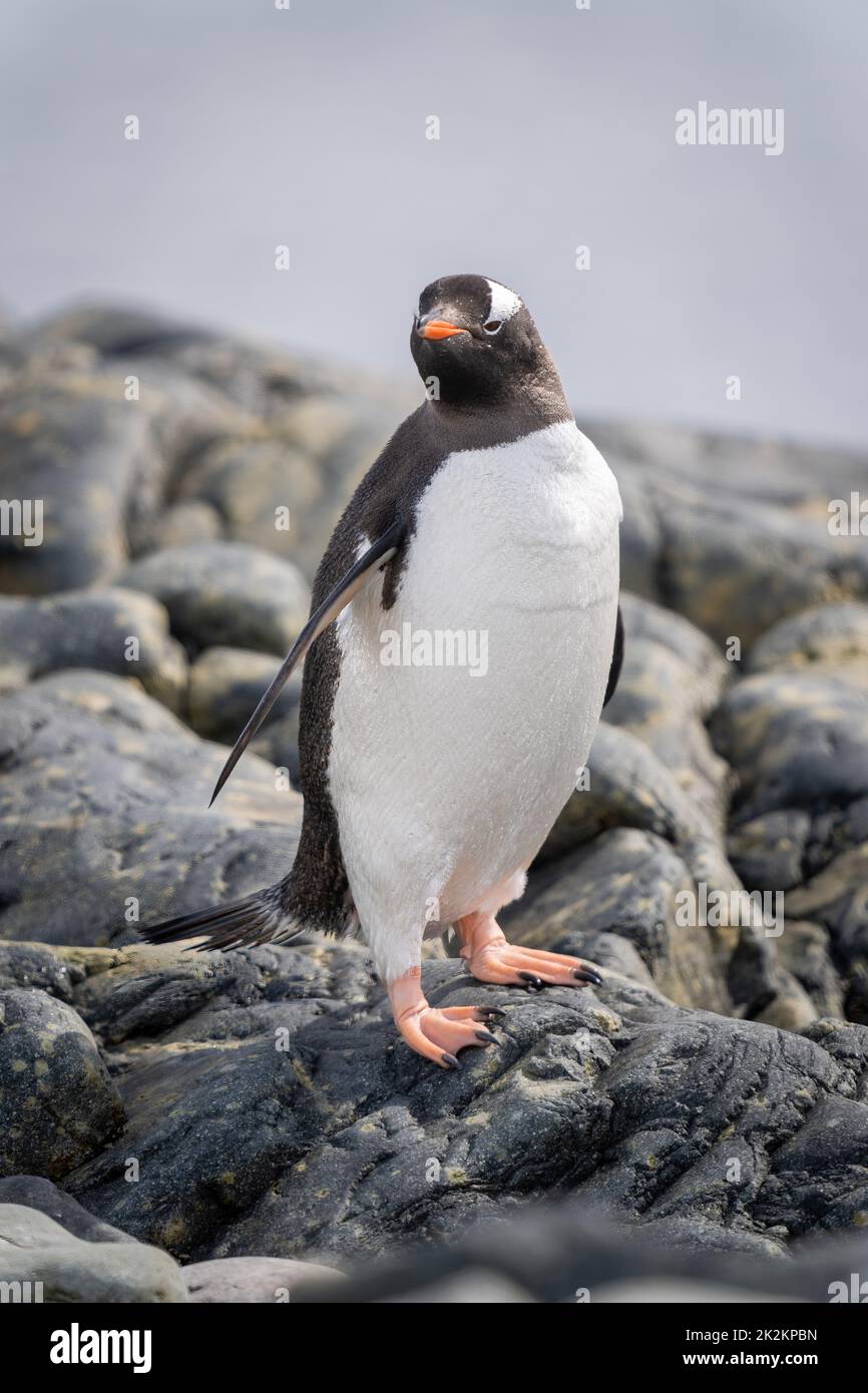 Turning rocks hi-res stock photography and images - Alamy