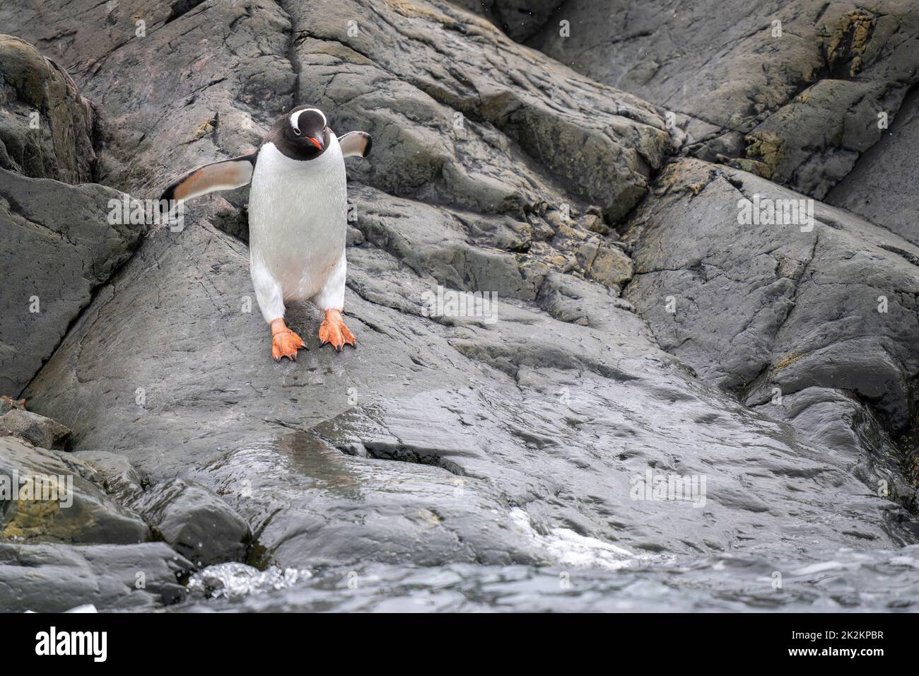 Shore stands hi-res stock photography and images - Alamy