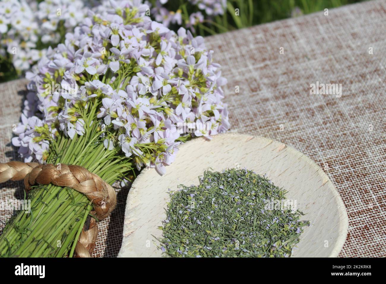 Cuckoo flower tea hi-res stock photography and images - Alamy